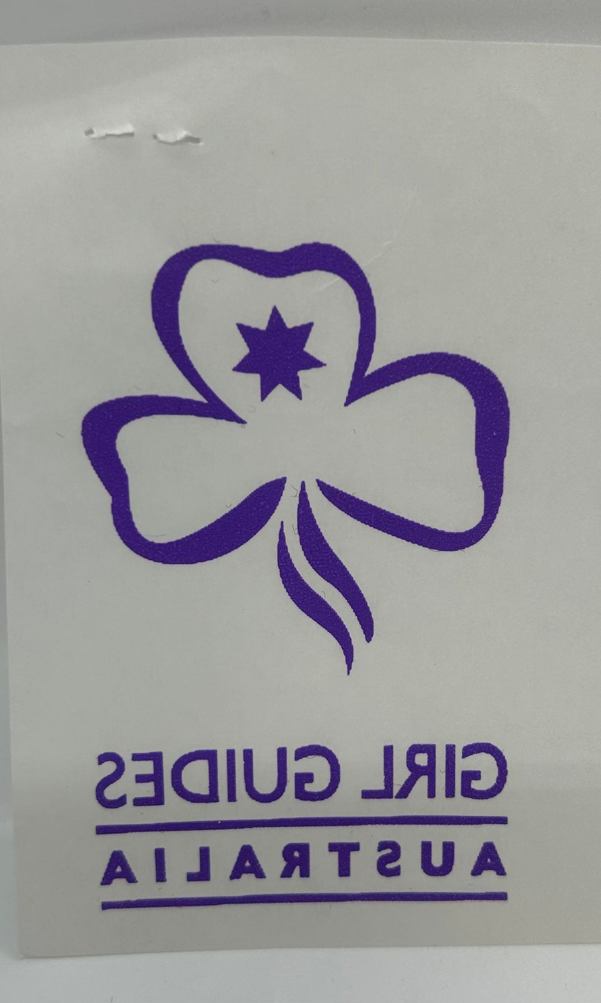 Girl Guides Australia Logo Cap The Guide Shop Coastal Valleys